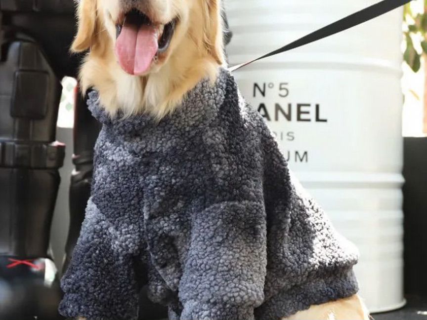 Куртка для больших собак