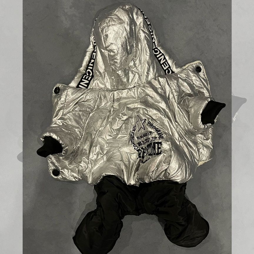 Одежда для маленьких собак