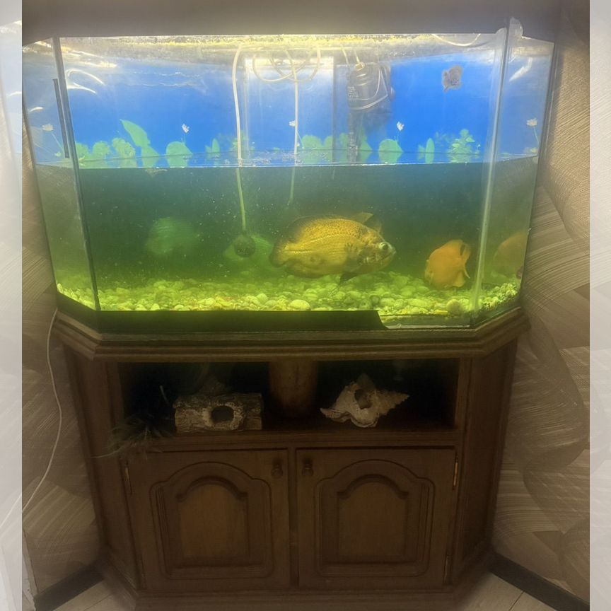 Аквариум с тумбой 200л