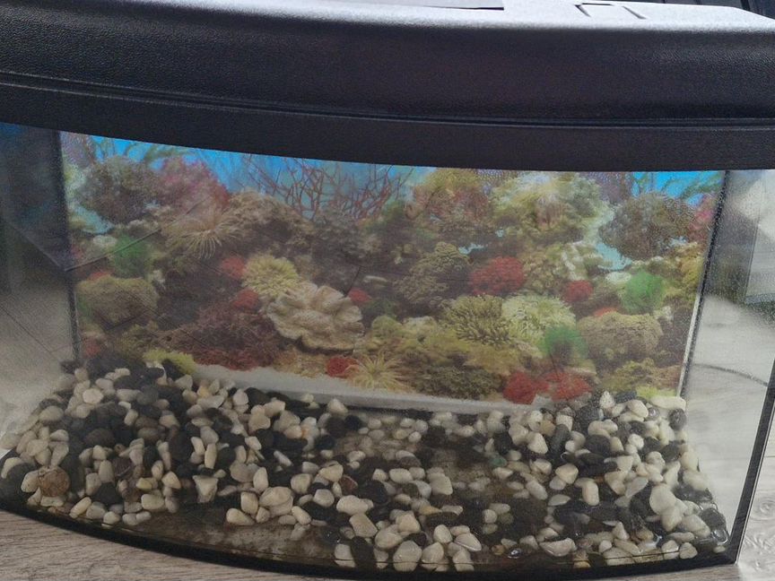 Аквариум для рыбок на 55 литров