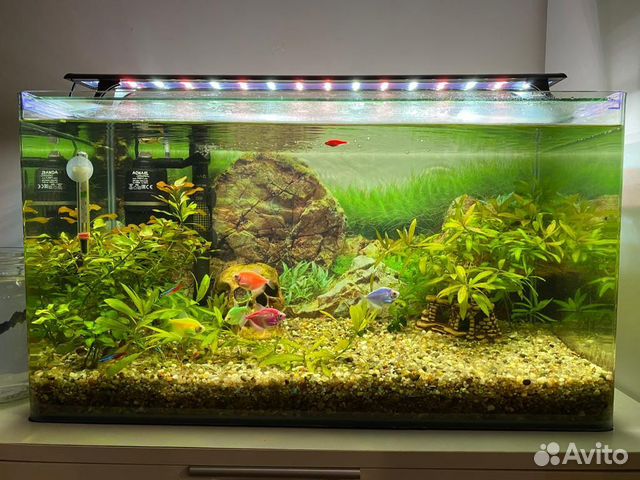 Аквариум панорамный 60 литров