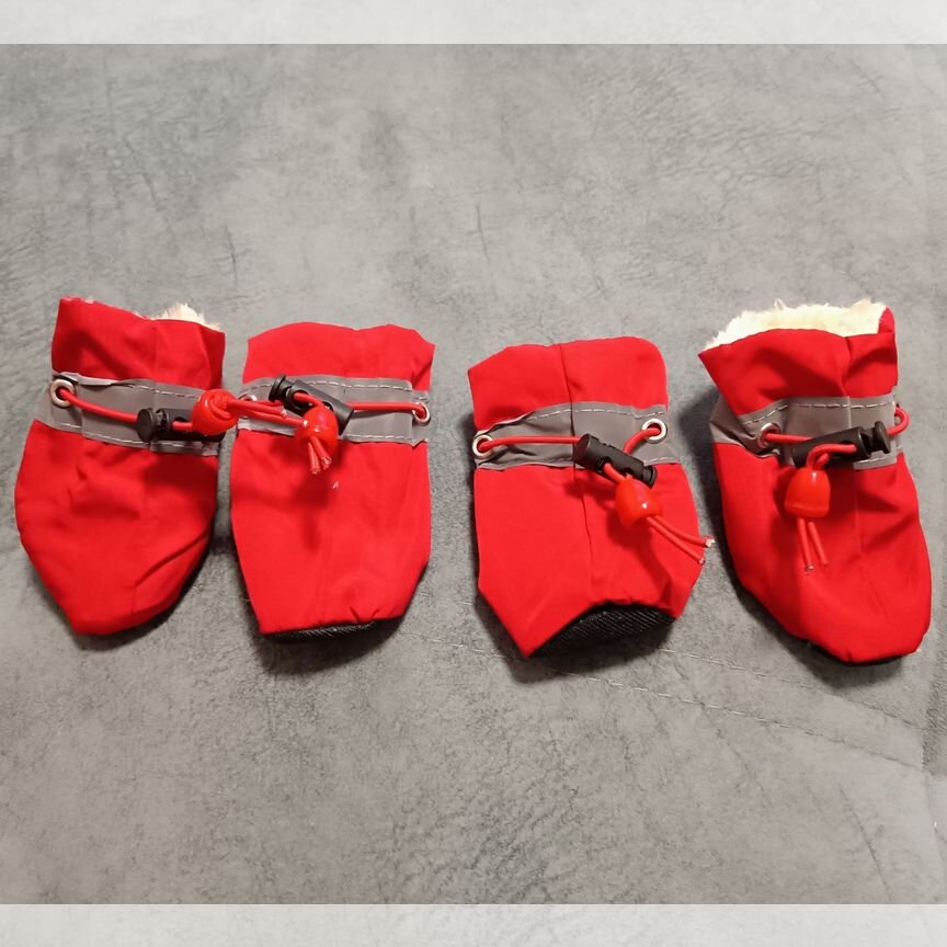 Обувь для маленьких пород собак