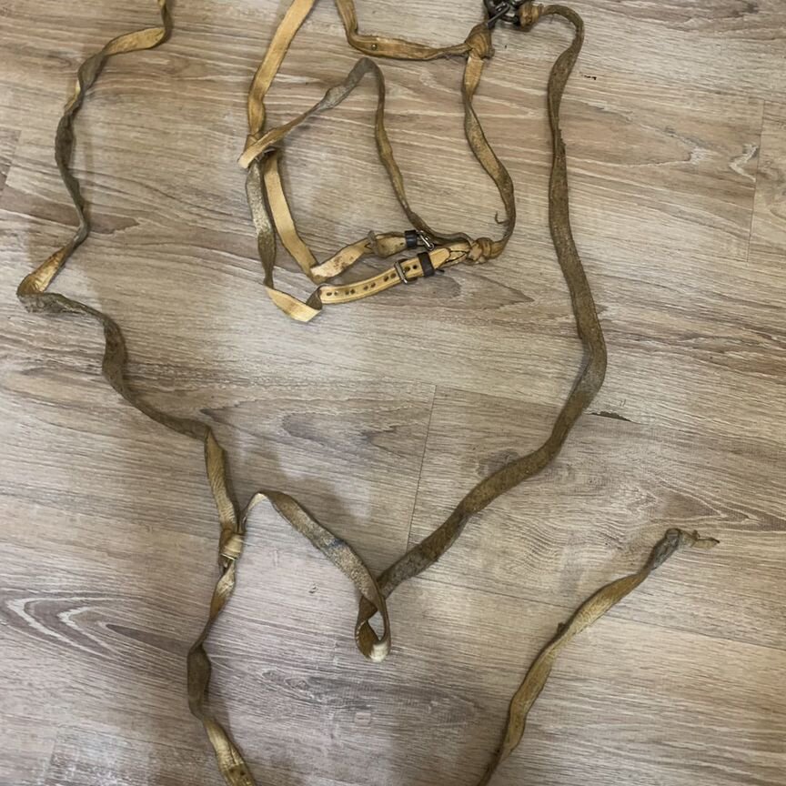 Уздечка для лошади