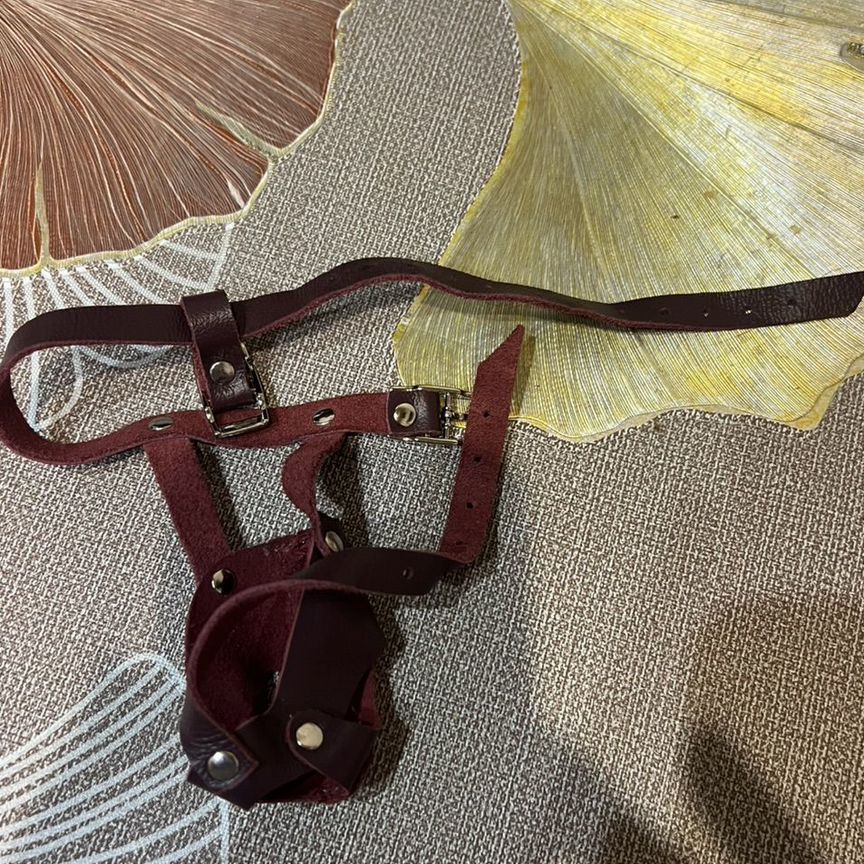 Намордник для маленькой собаки