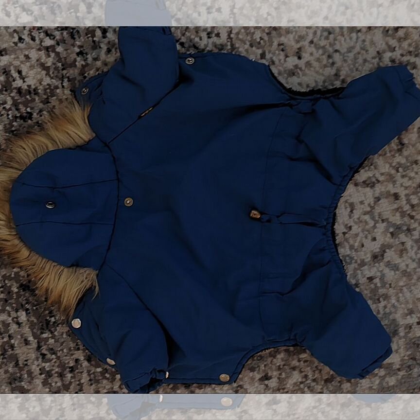 Вещи для маленьких собак