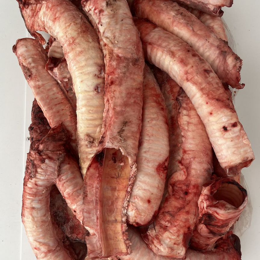 Трахея говяжья замороженная (монолит)