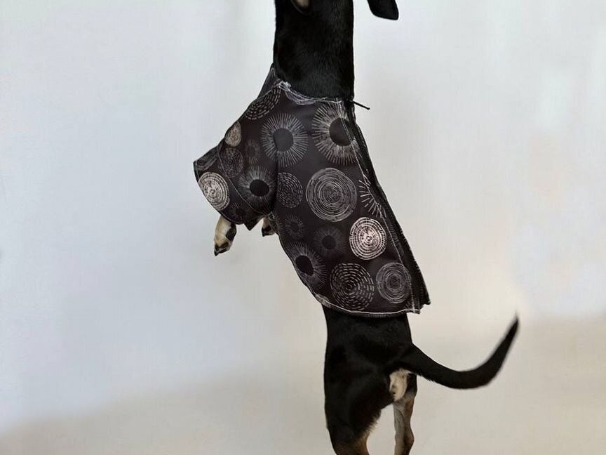 Одежда для собак куртка для собак