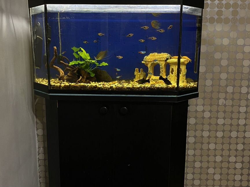 Аквариум с тумбой