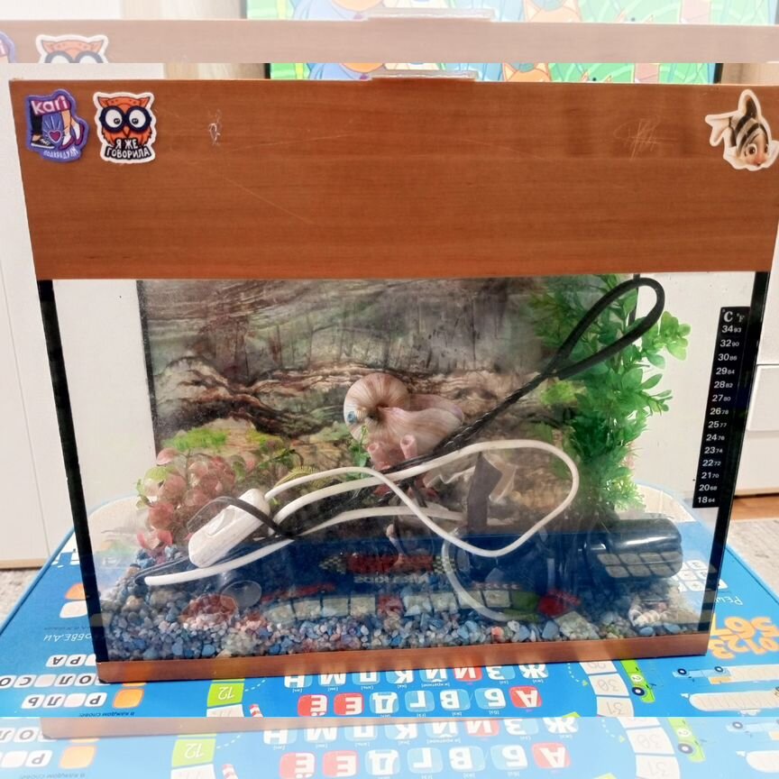 Аквариум