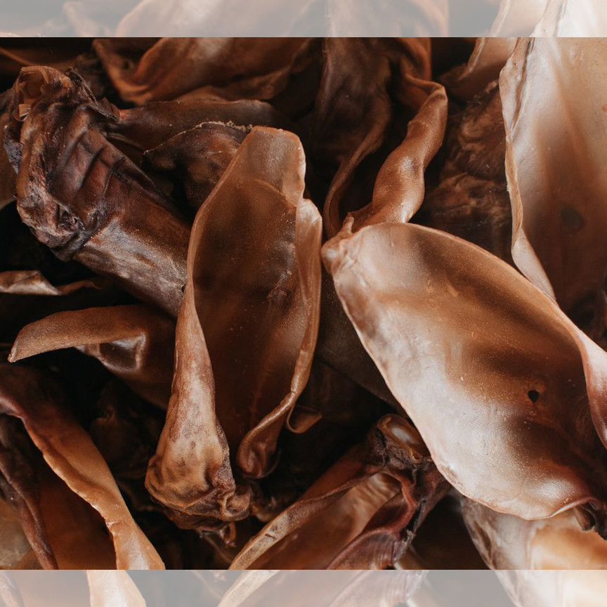 Вкусняшки для собак-лакомства для собак оптом