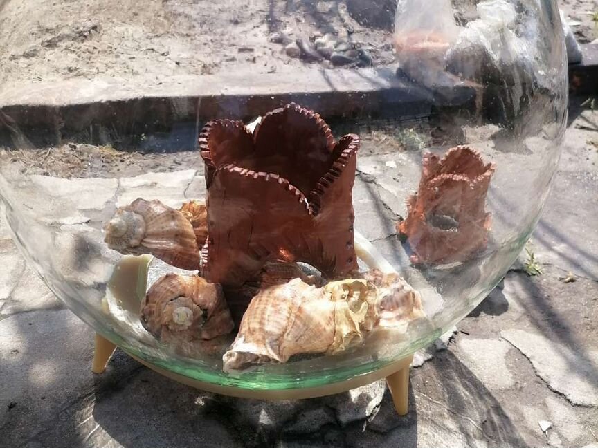 Аквариум с подставкой СССР