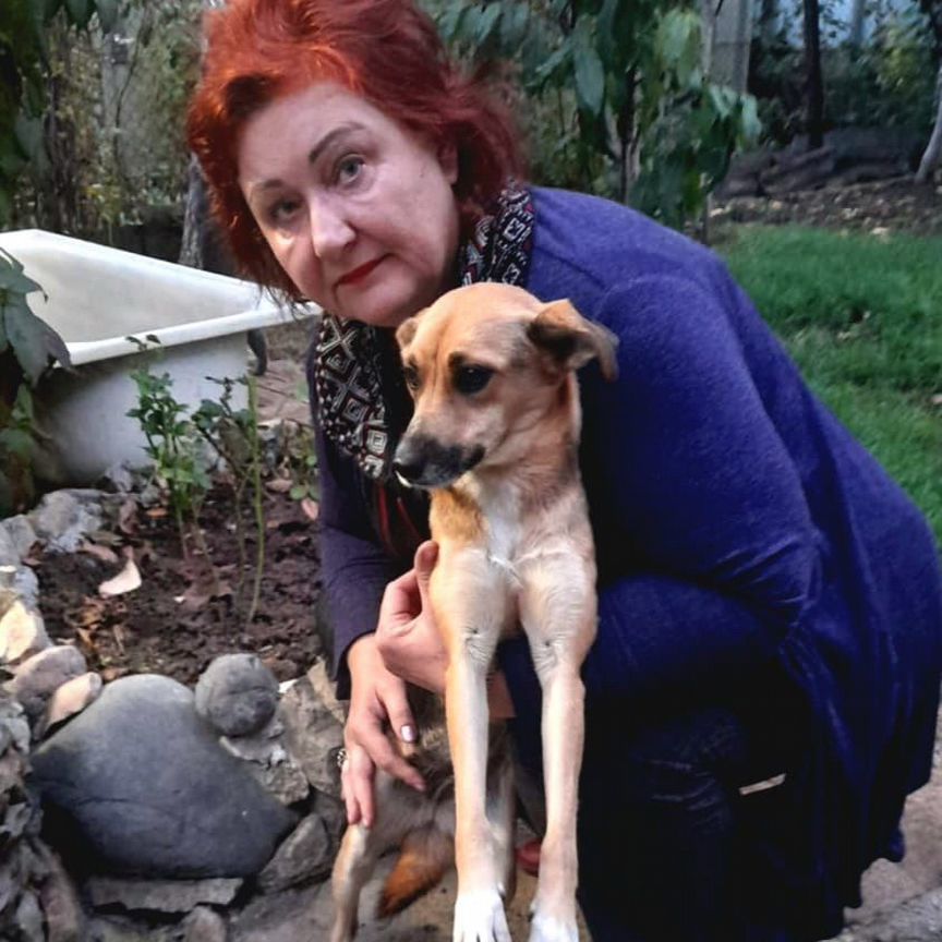 Маленькую Жужжу здесь обижают