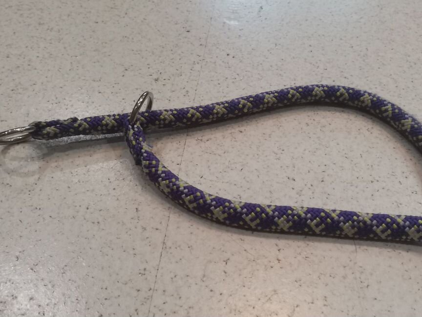 Ошейник-удавка для собак