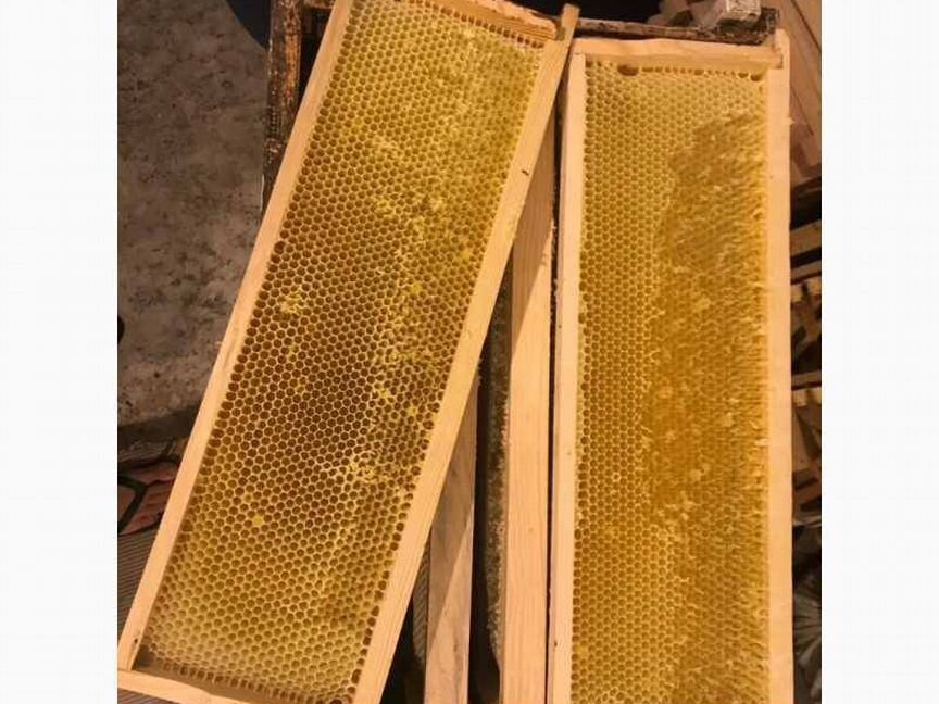 Сушь, рамки, полурамки