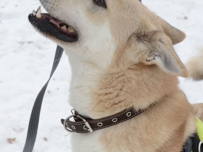 Возьми друга