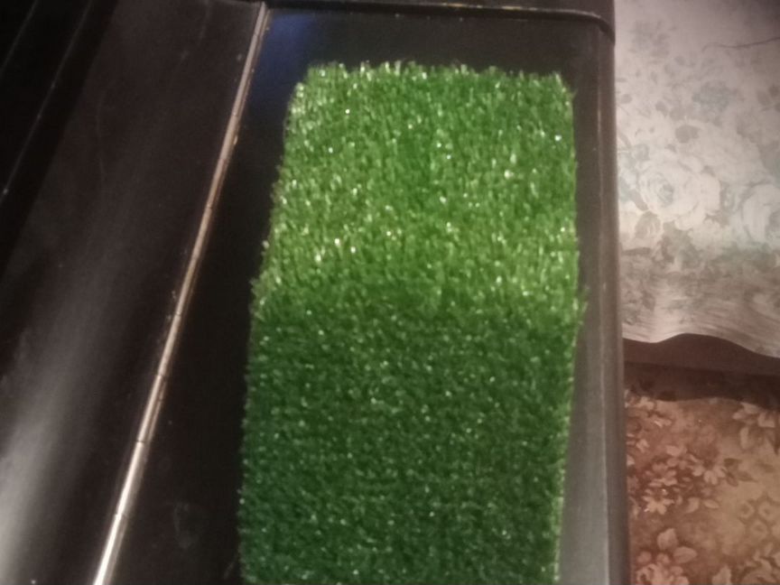 Мостик для черепахи