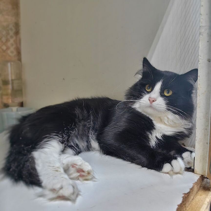 Шурик почти замерз на смерть