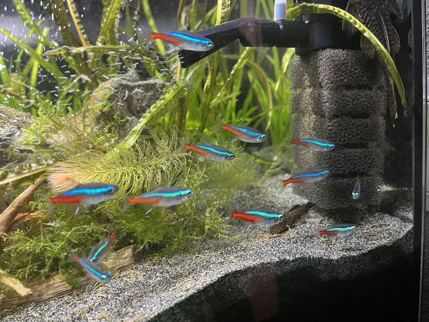 Грунт JBL Sansibar grey