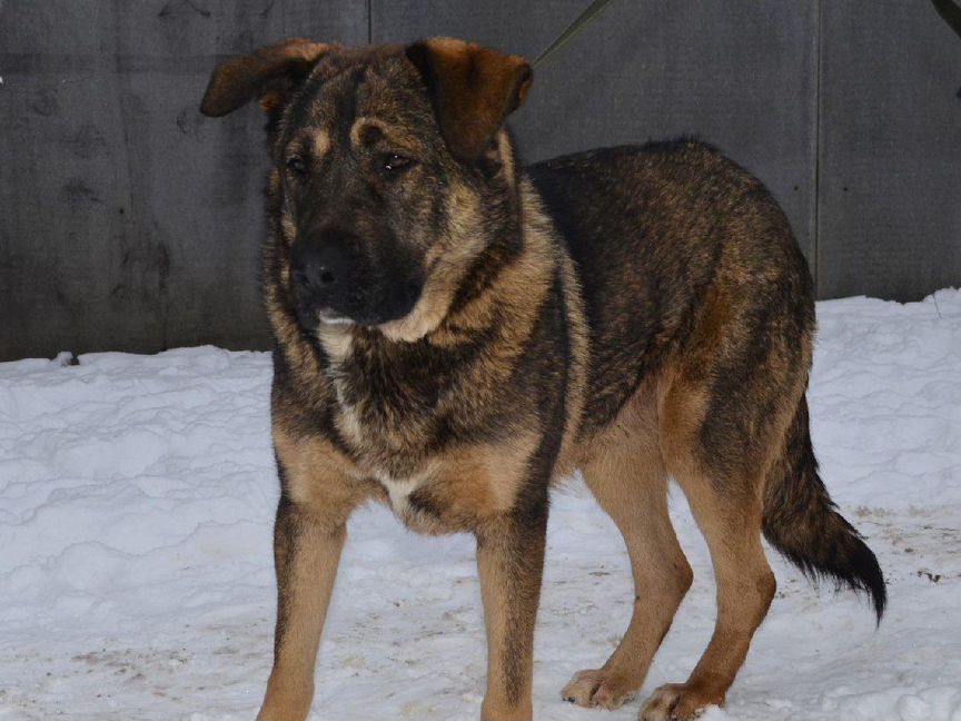 Инга в поисках семьи