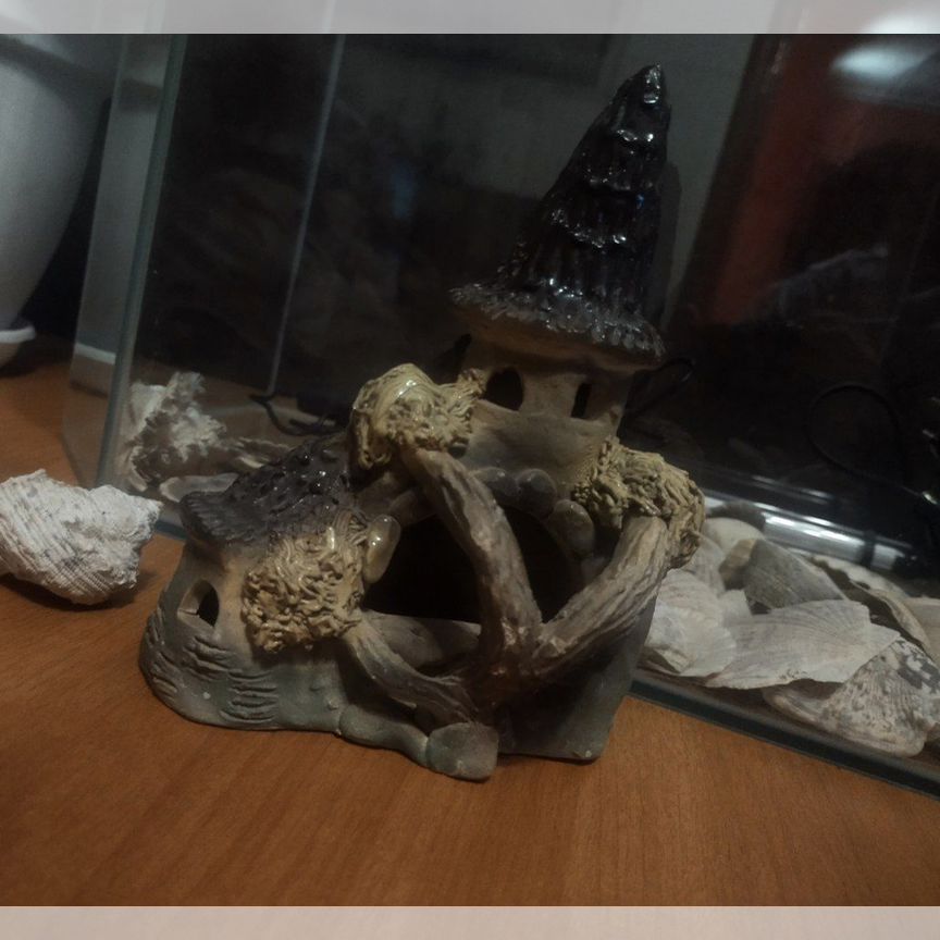 Аквариум и другие элементы для рыб