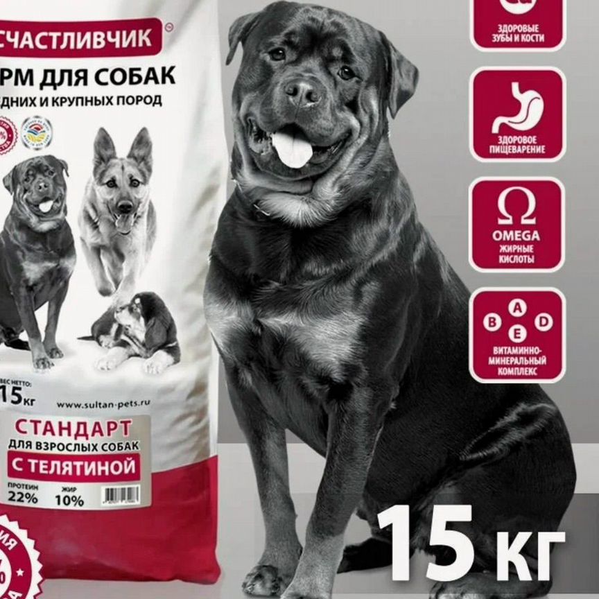 Сухой корм для собак