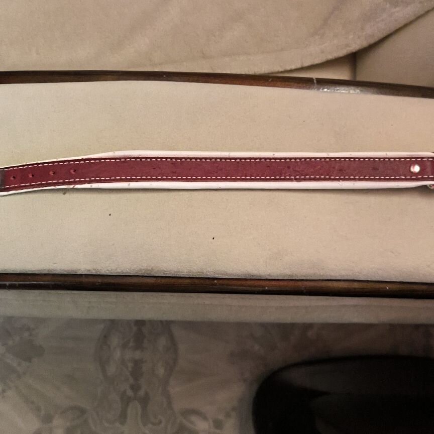 Ошейник для собак