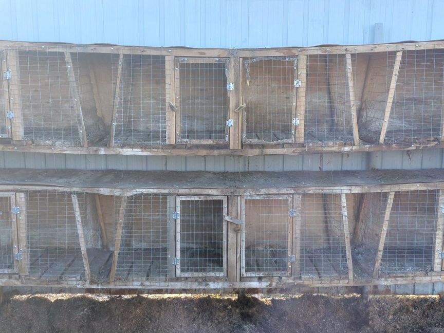 Клетка для кролика бесплатно