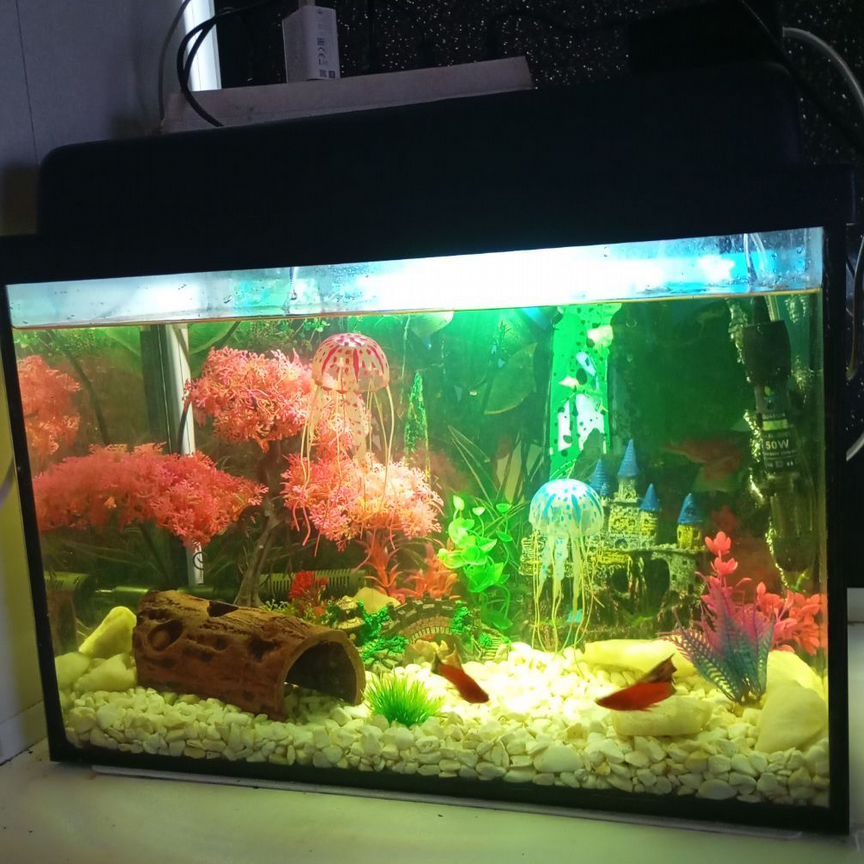 Аквариум с рыбками