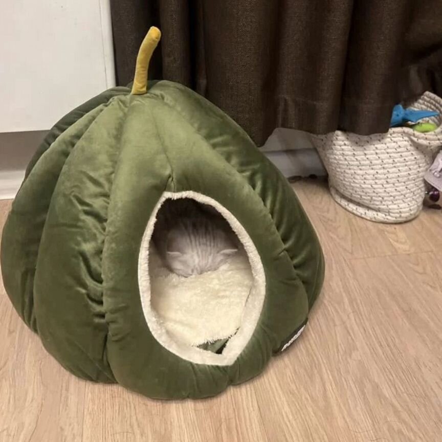 Домик для кошки бу