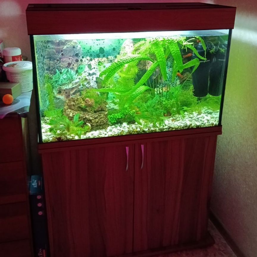 Аквариум 150 литров с тумбой
