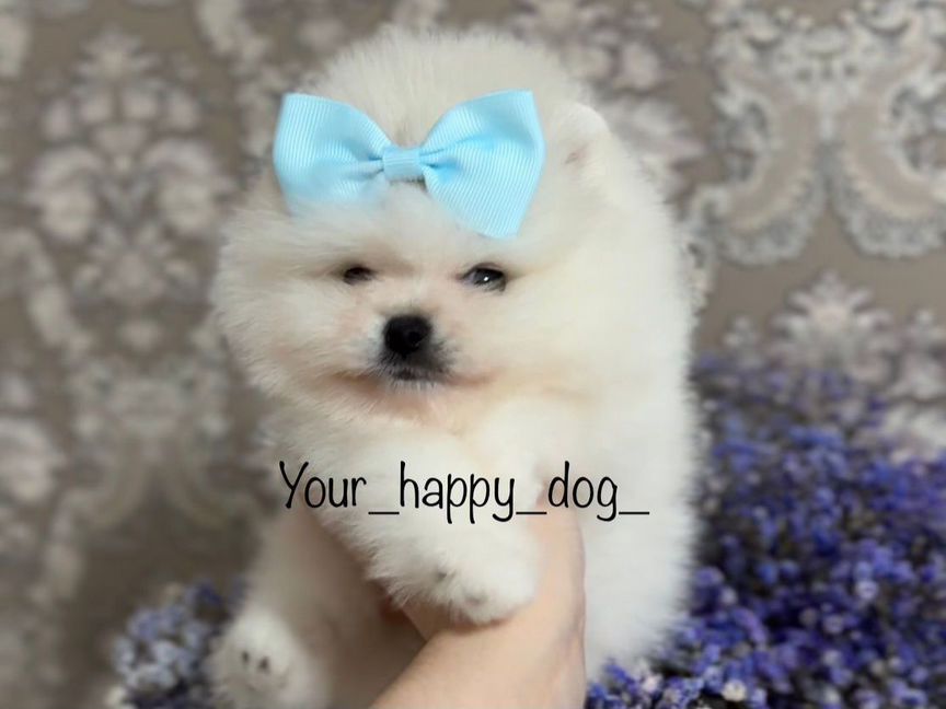 Красотулички