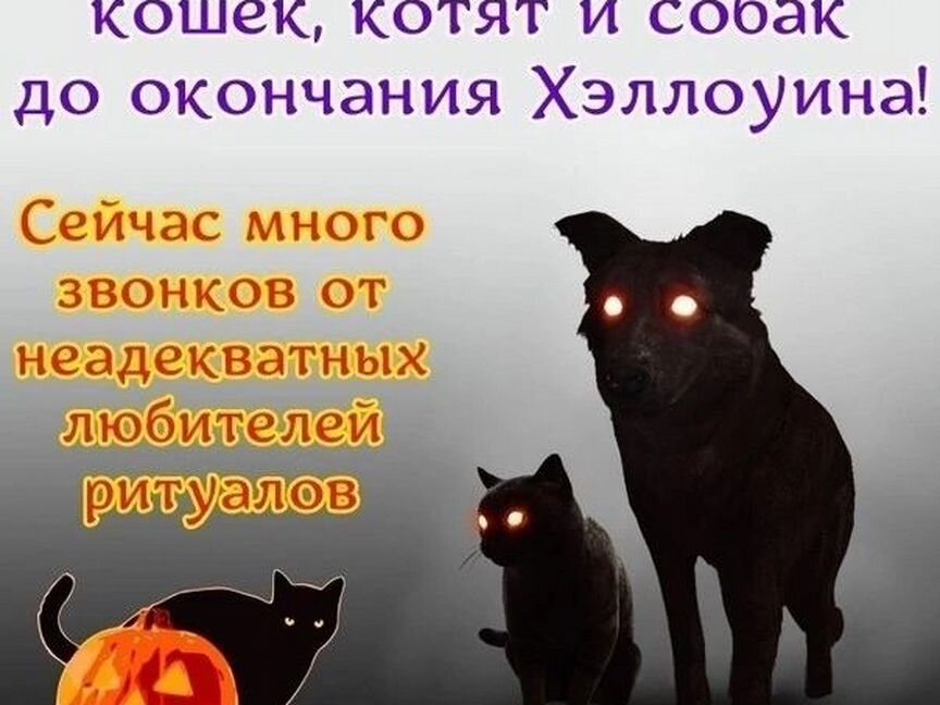 Возьму в добрые руки