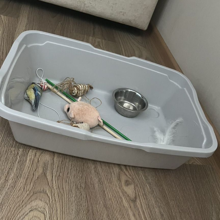 Лоток для кошки