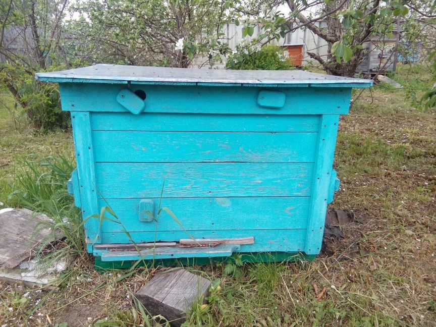 Продам все для пчёл