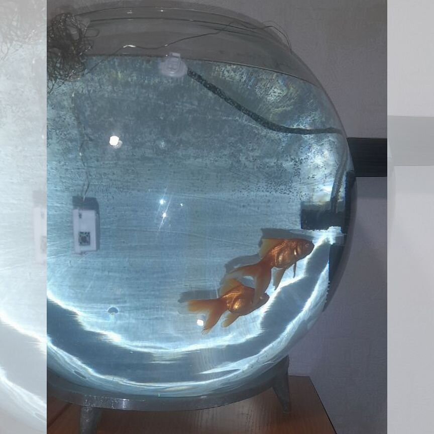 Аквариум для рыбок круглый