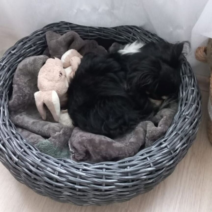 Лежанка для животных из ротанга