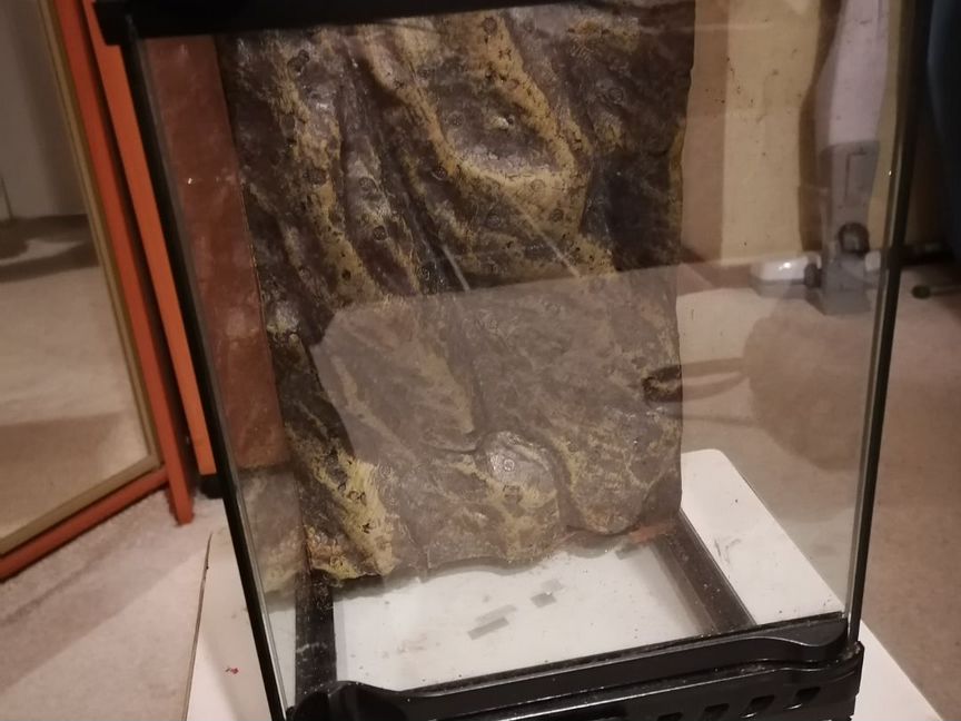 Террариум exo terra