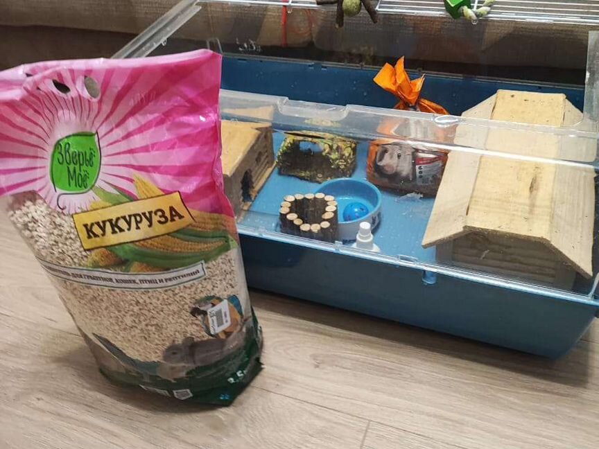Приданое для крыс или хомяков