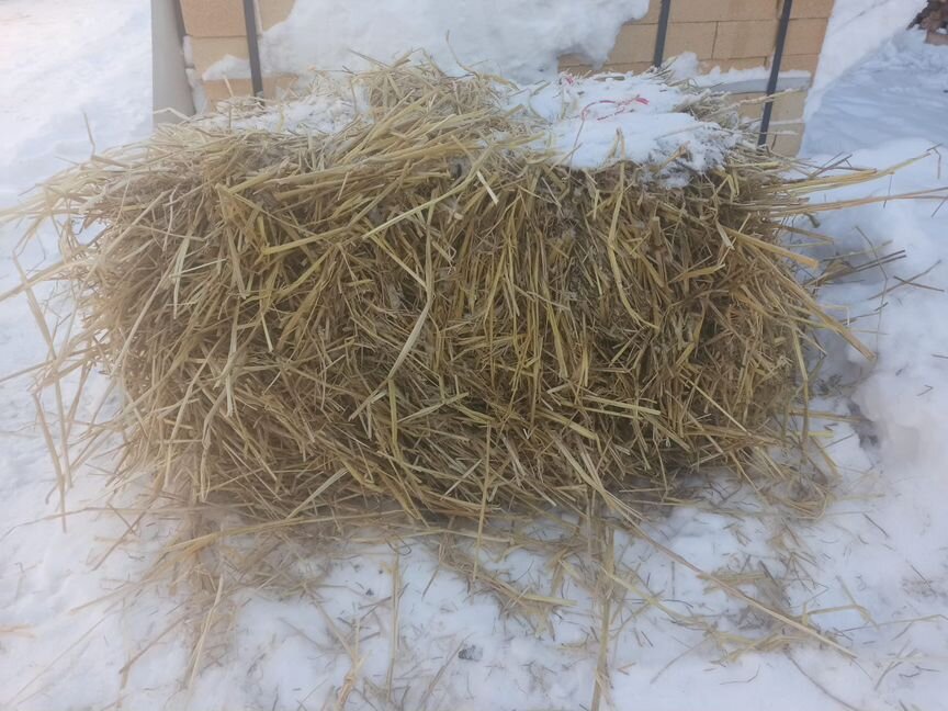 Солома сено в тюках