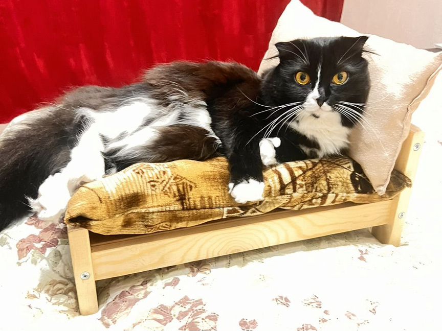 Кровать для кошки, собаки