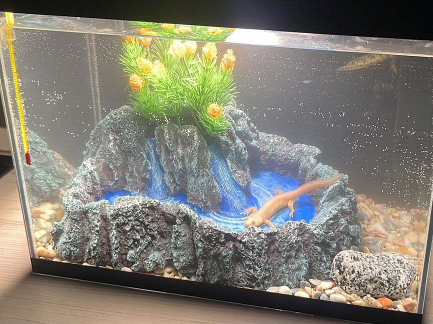 Декорация для аквариума/террариума