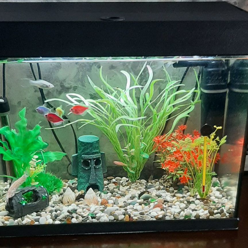 Аквариум б\у с рыбками