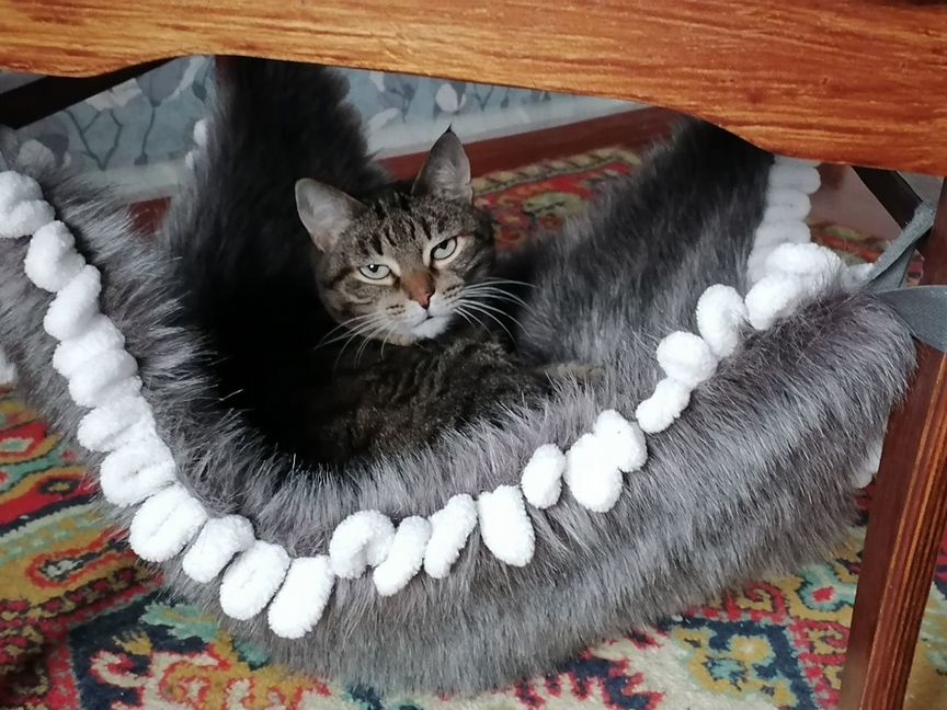 Гамак для кошки Лежанка Домик