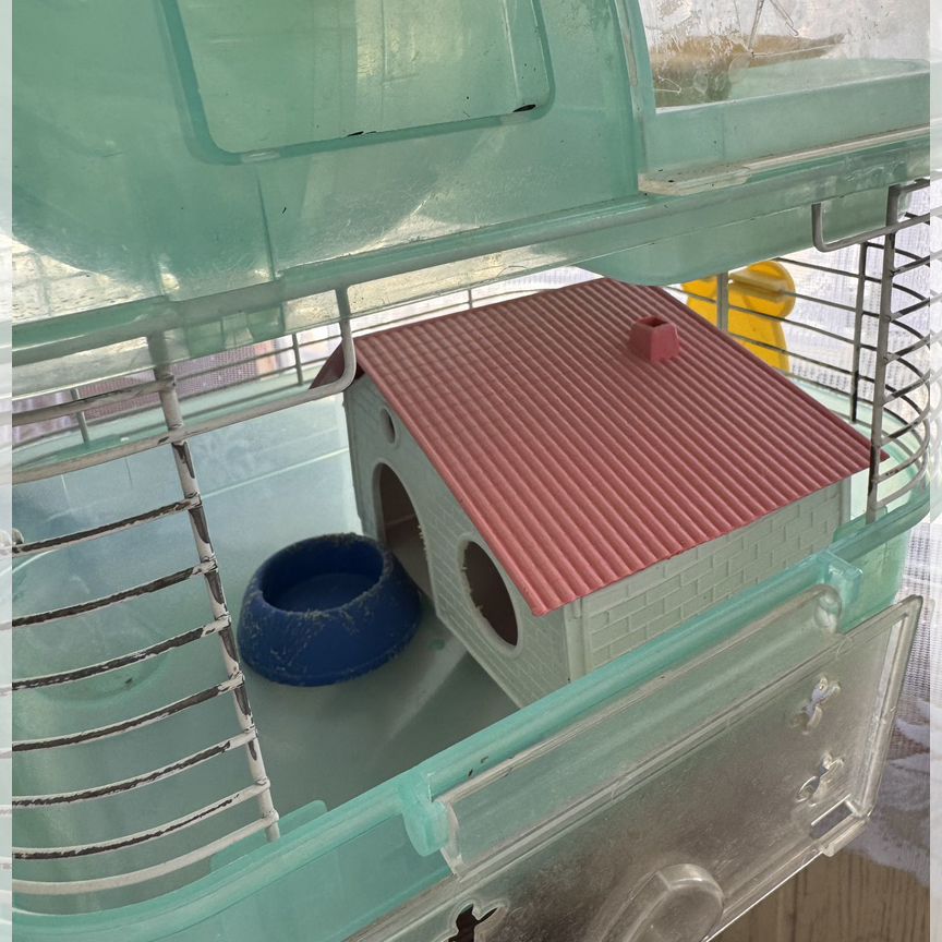 Клетка для грызунов бу