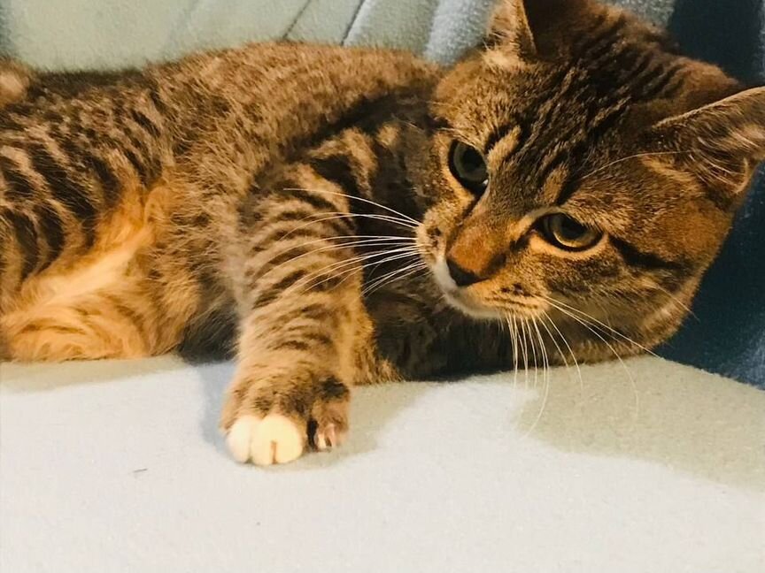 Борис в самые ответственные руки