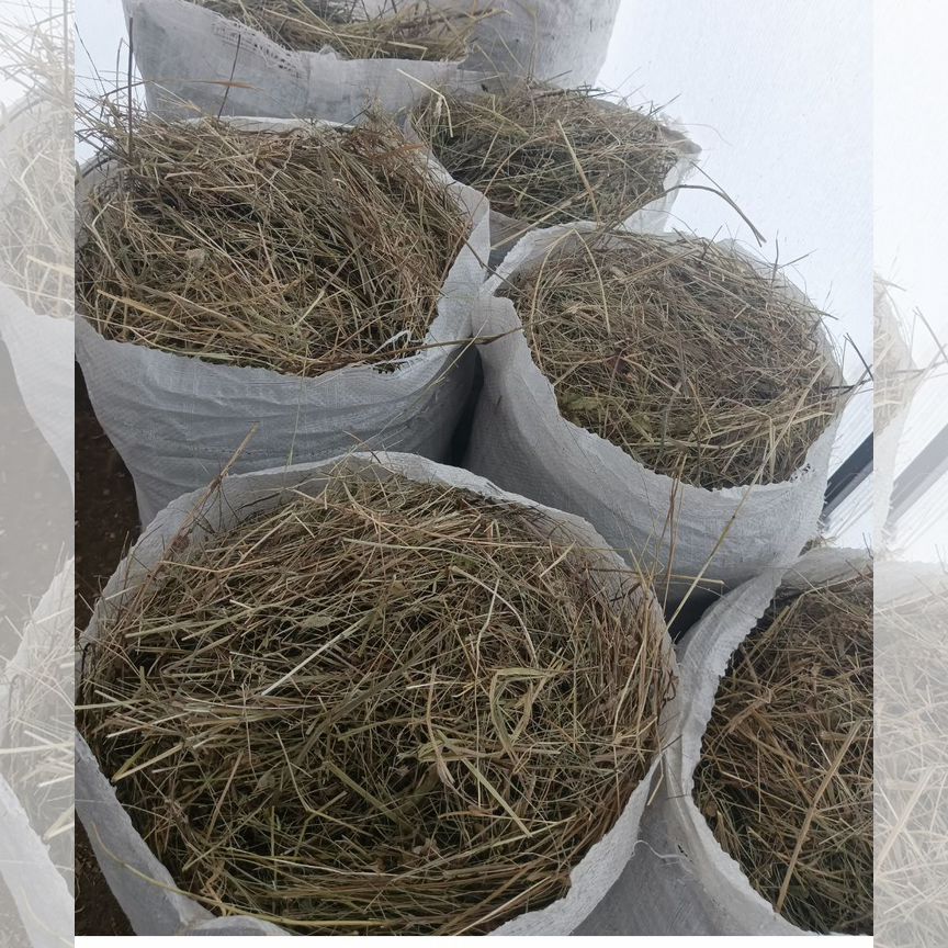 Сено в мешках