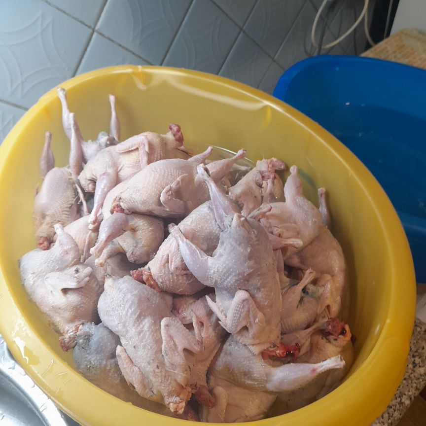 Мясо перепелиное