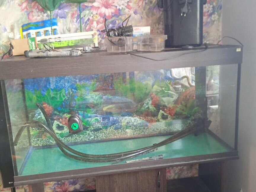 Аквариум на 300 л. с тумбой