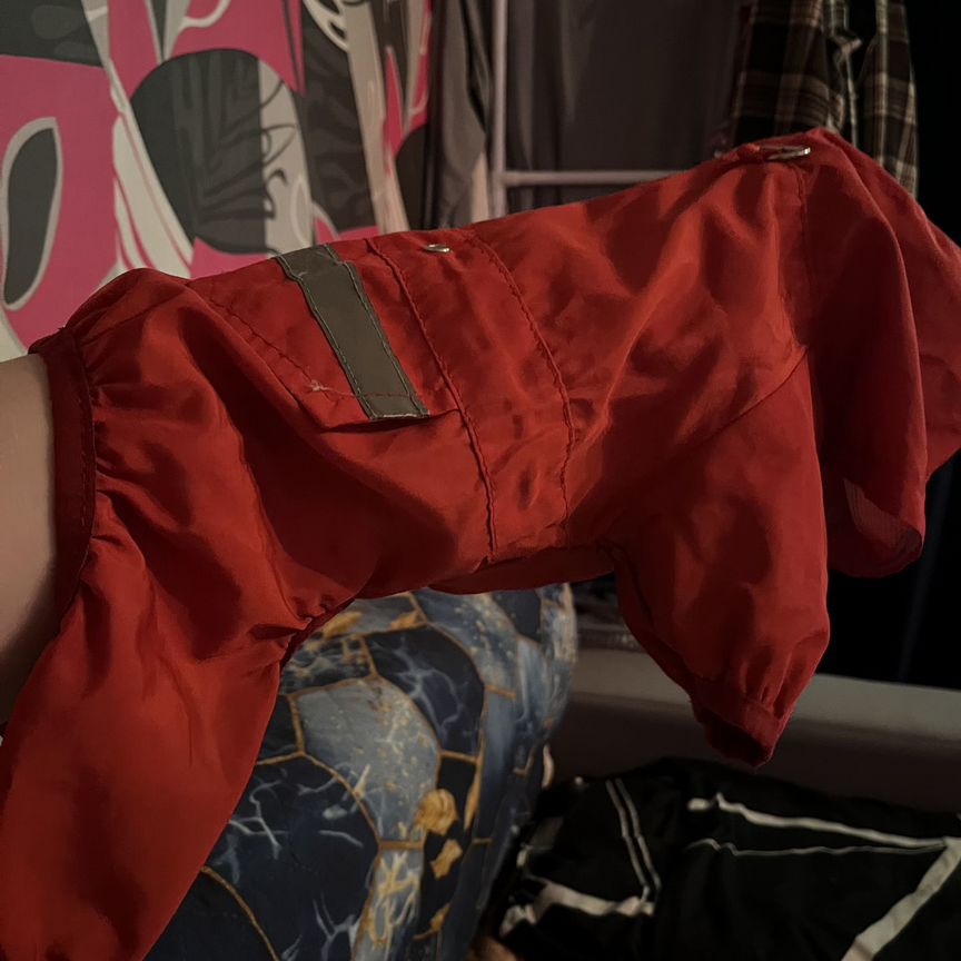 Одежда для маленьких собак м