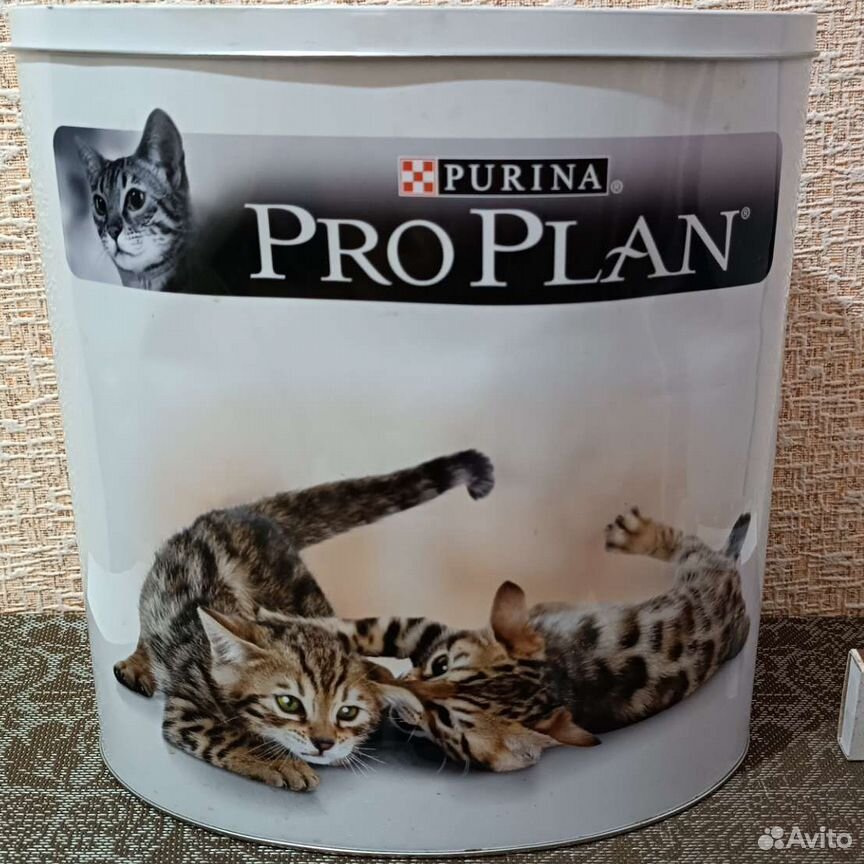 Банка для корма